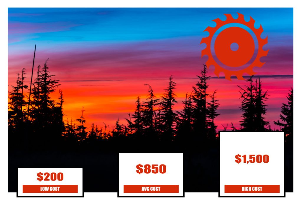Cost To Cut Down Pine Tree (2024) | Hayward Tree Service AZ