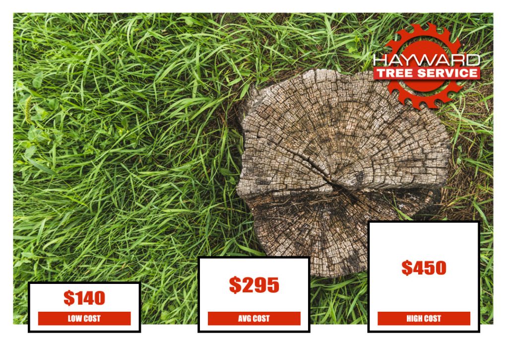 Tree Stump Grinding Cost | Hayward Tree Service