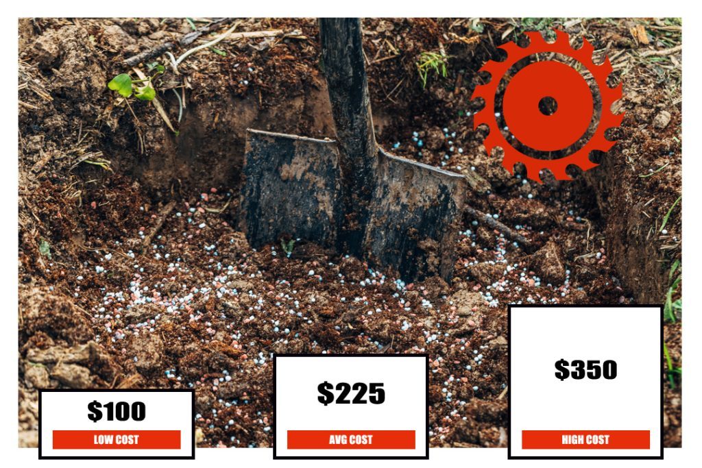 Deep Root Fertilization Cost | Hayward Tree Service Deep Root Fertilization Cost | Hayward Tree Service